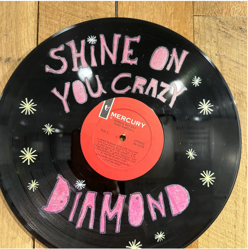 Shine On Vinyl Record – Cinderella Ranch Boutique